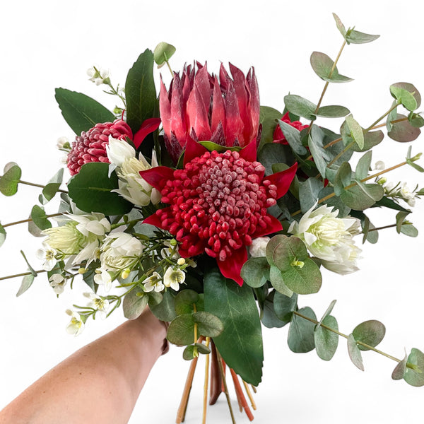 Matilda Red – Seaholly Flowers