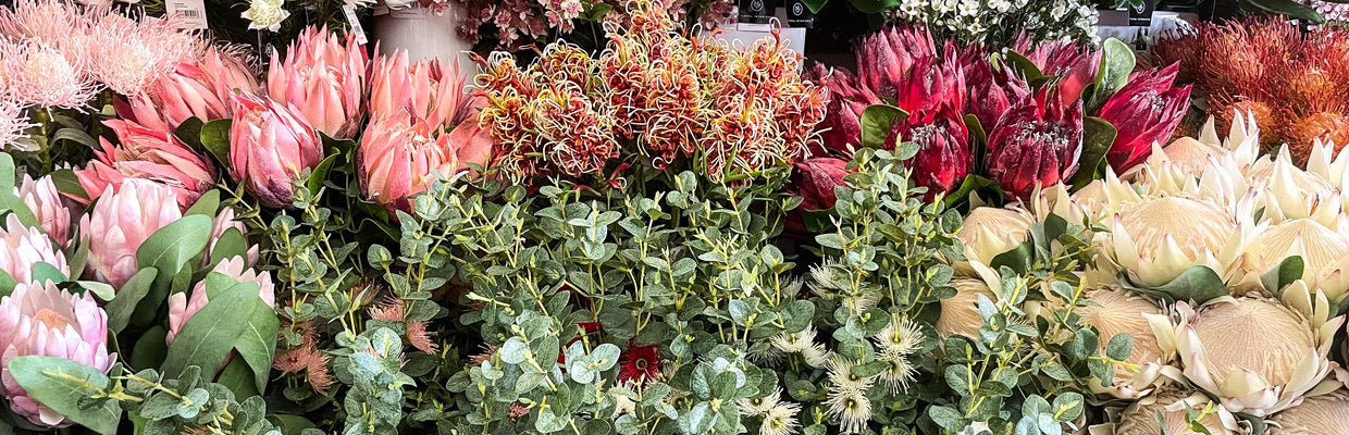 Pre-made Arrangements – Seaholly Flowers
