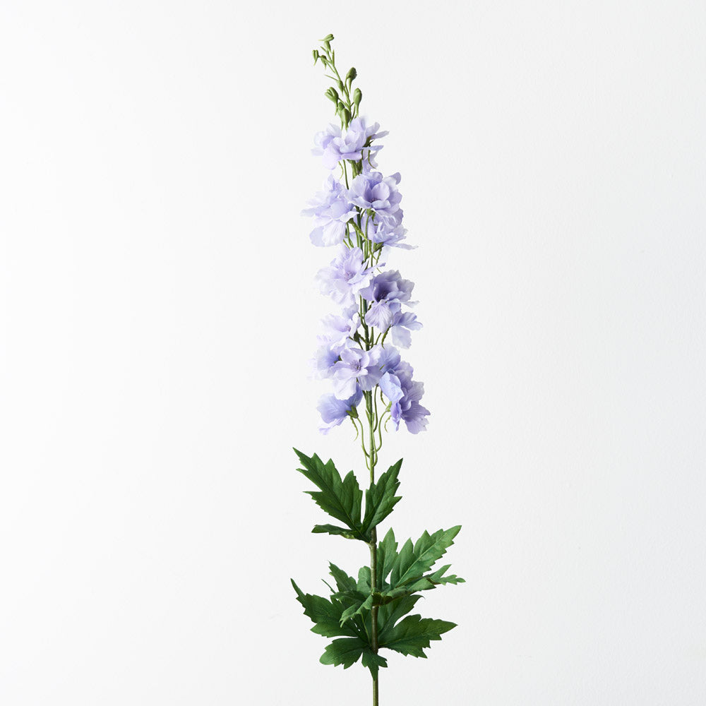 Delphinium (Lavender) – Seaholly Flowers