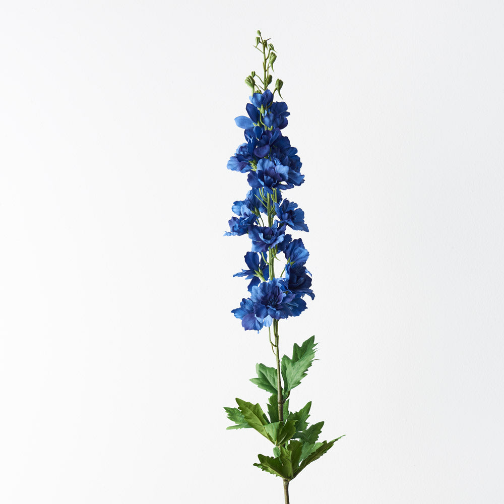 Delphinium (Blue) – Seaholly Flowers