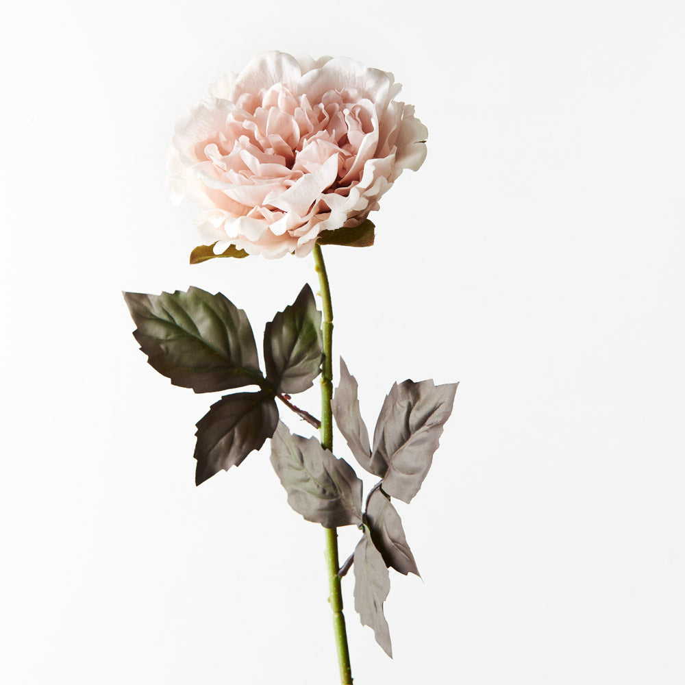 Realistic Artificial Flower Stems – Seaholly Flowers