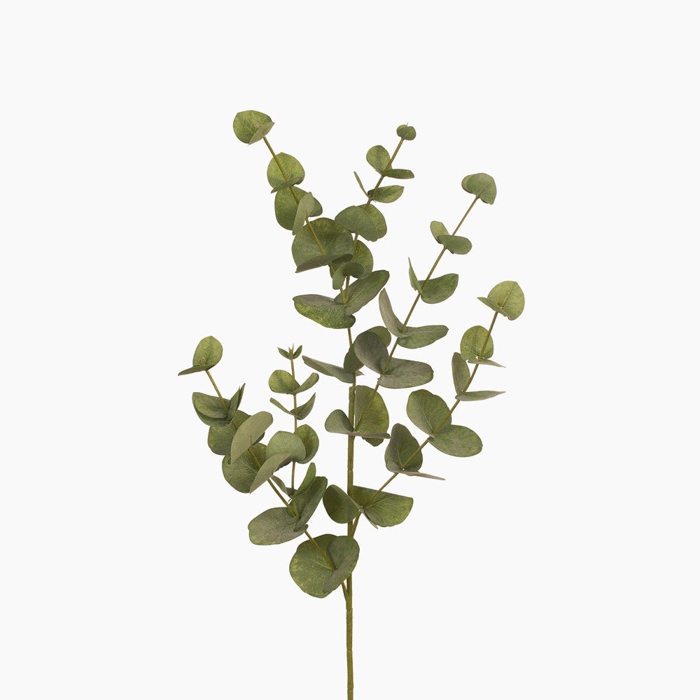 Life-Like Artificial Native Flower Stems – Seaholly Flowers