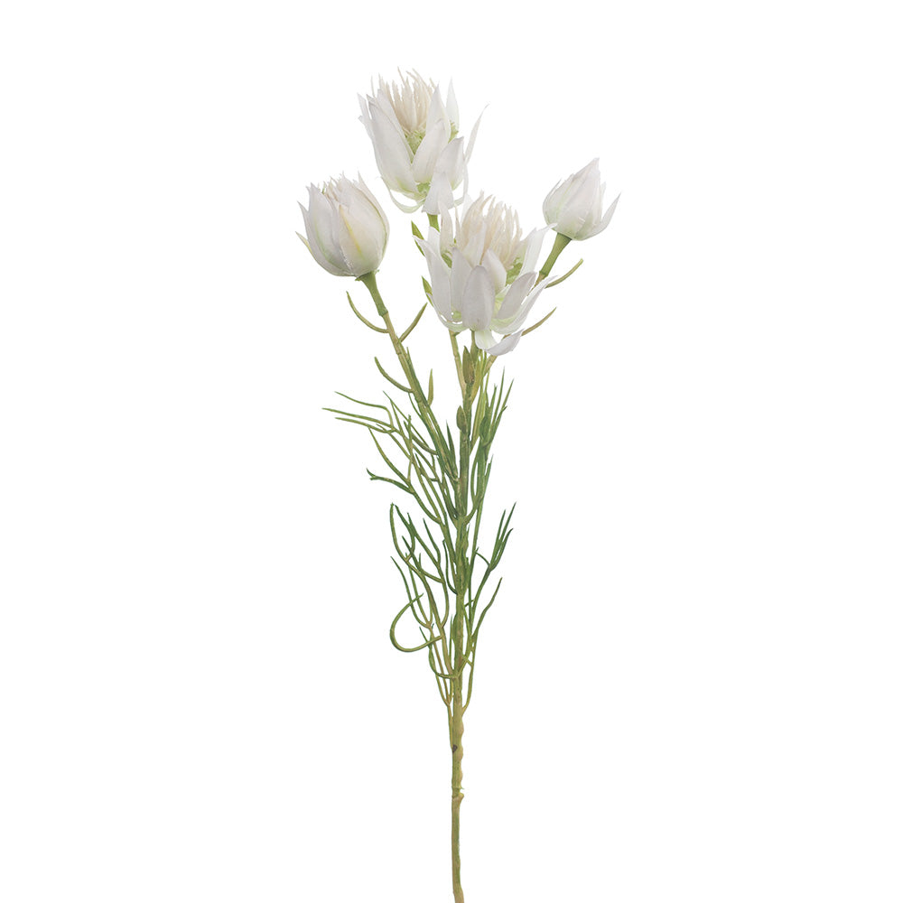 Life-Like Artificial Native Flower Stems – Seaholly Flowers