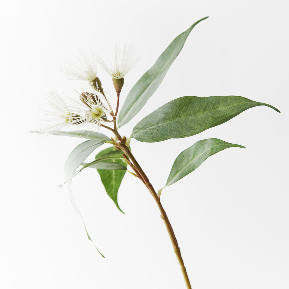 Life-Like Artificial Native Flower Stems – Seaholly Flowers