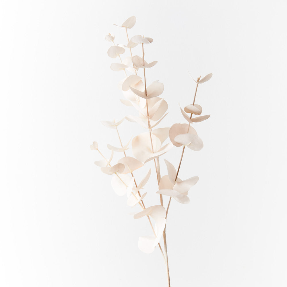 Life-Like Artificial Native Flower Stems – Seaholly Flowers